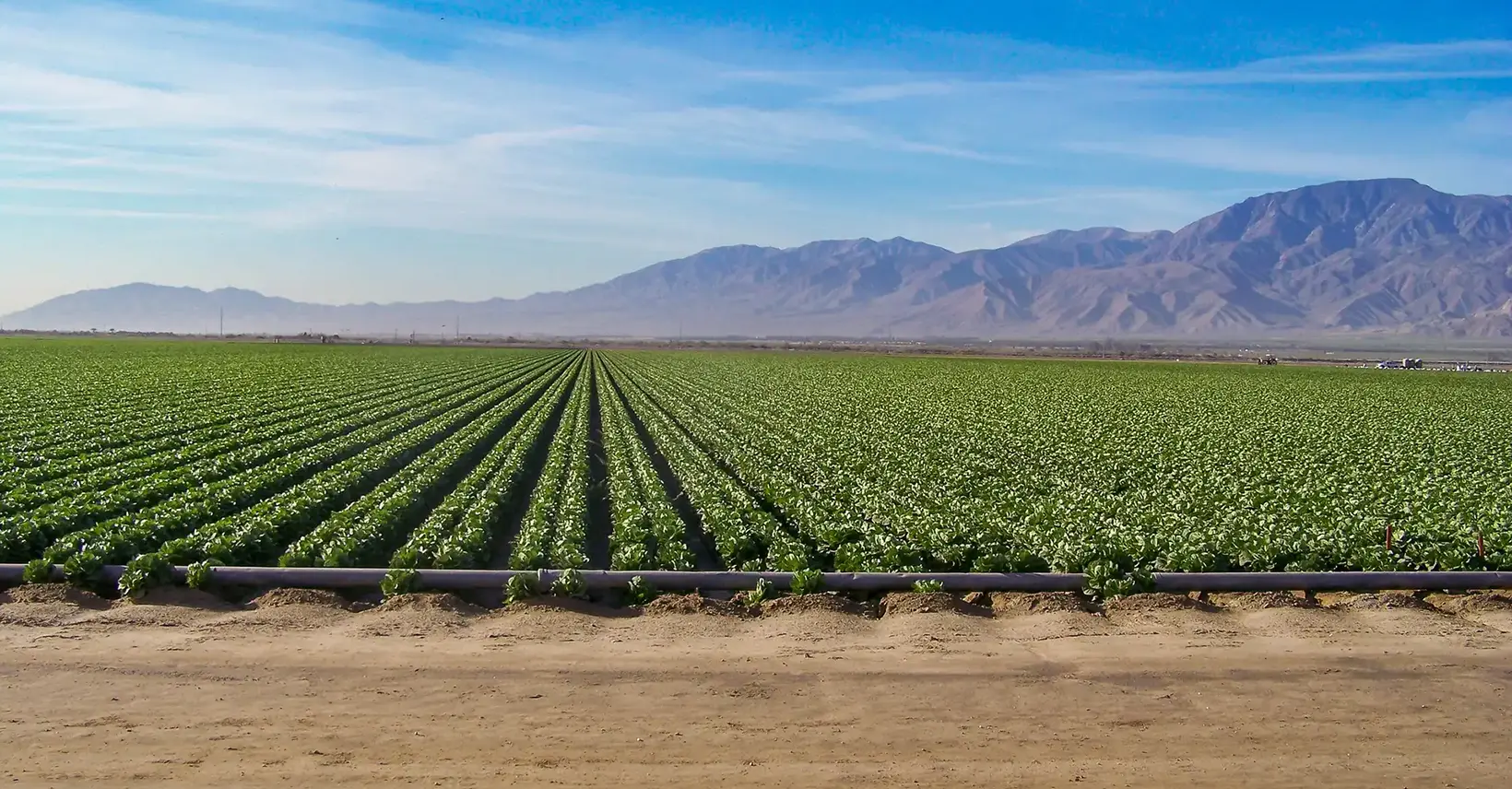 77.3 AC NEC Wheeler St & Ave 70, Mecca | Desert Pacific Properties ...